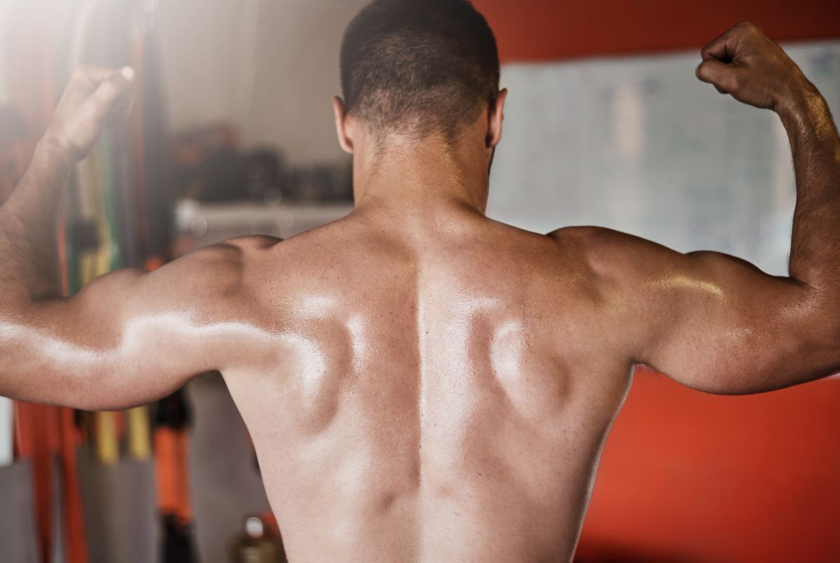 Remada Alta: Entenda O Que Fortalece E Como Fazer